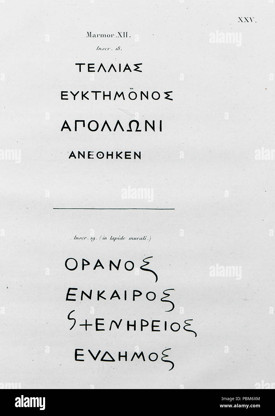 Carthaea hi-res stock photography and images - Alamy