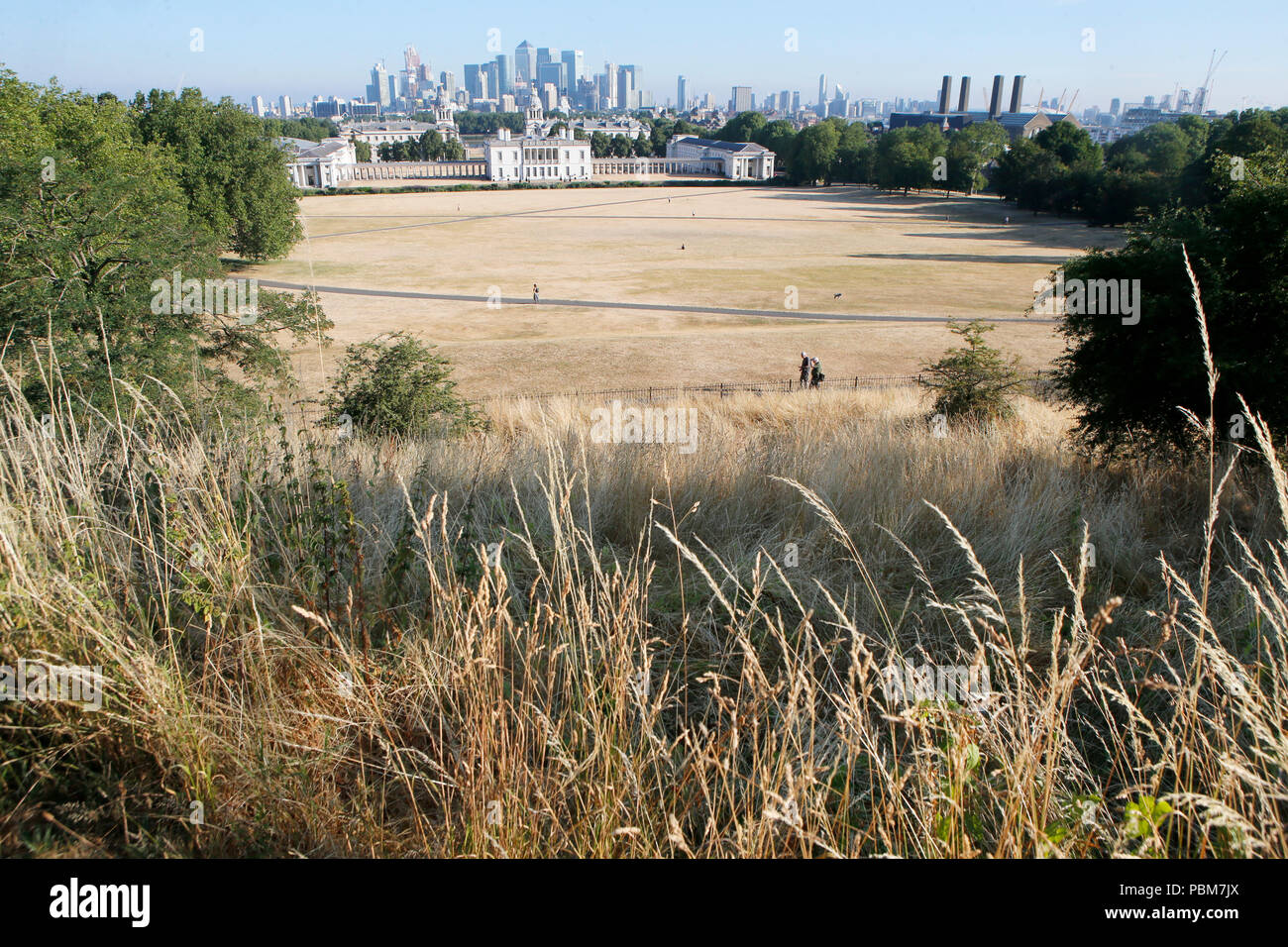Parched grass hi-res stock photography and images - Alamy