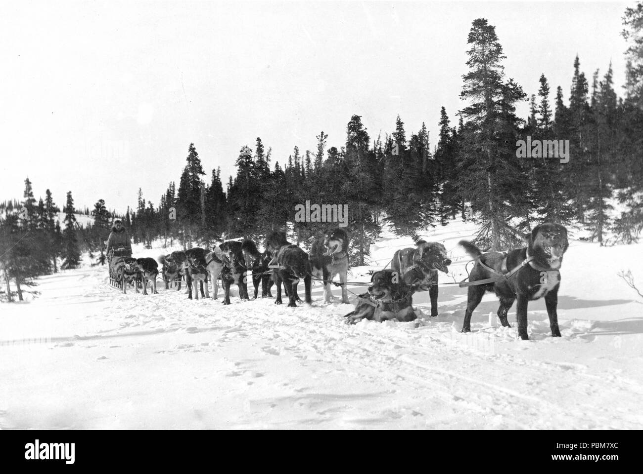Early 1900s alaska hi-res stock photography and images - Alamy