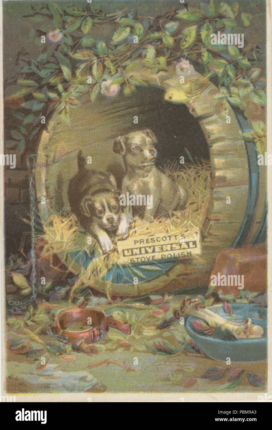 Persistent dogs hi-res stock photography and images - Alamy