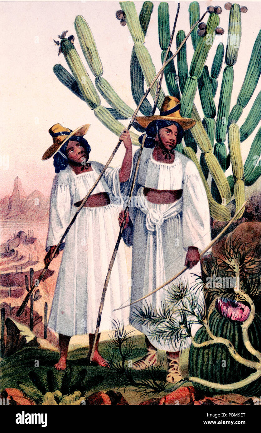 Papagos hi-res stock photography and images - Alamy