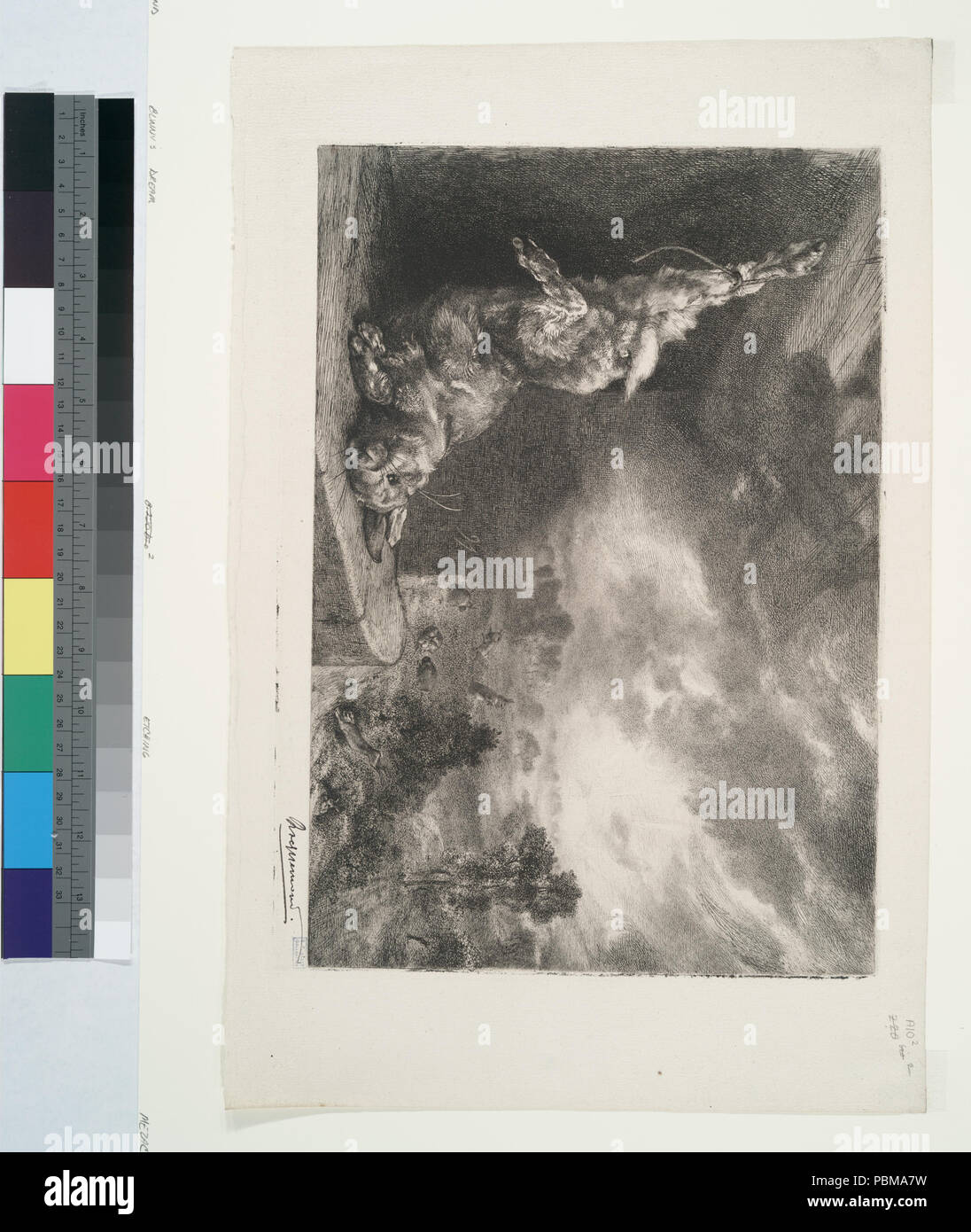 Jeannot lapin hi-res stock photography and images - Alamy