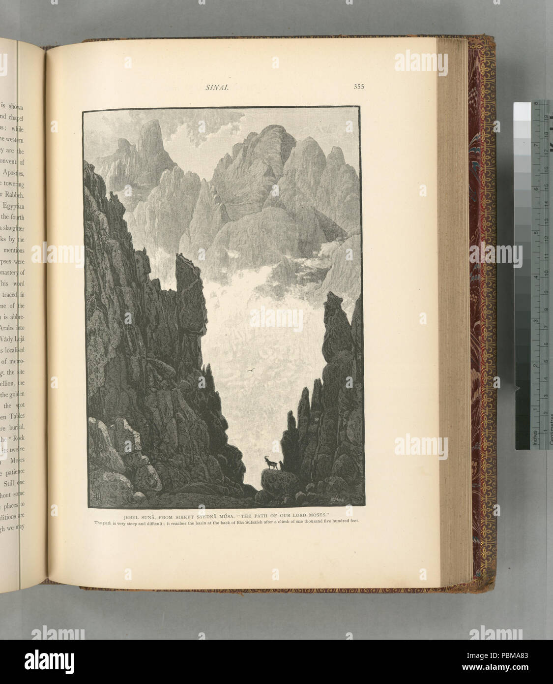 Path of our lord moses hi-res stock photography and images - Alamy