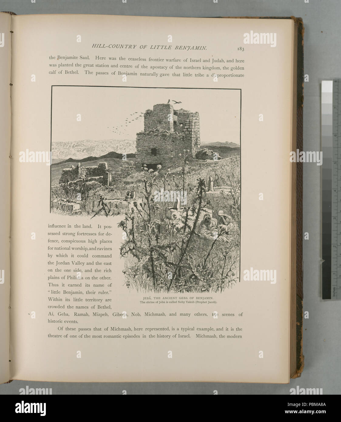 829 Jebá, the ancient Geba of Benjamin. The shrine of Jebá is called ...