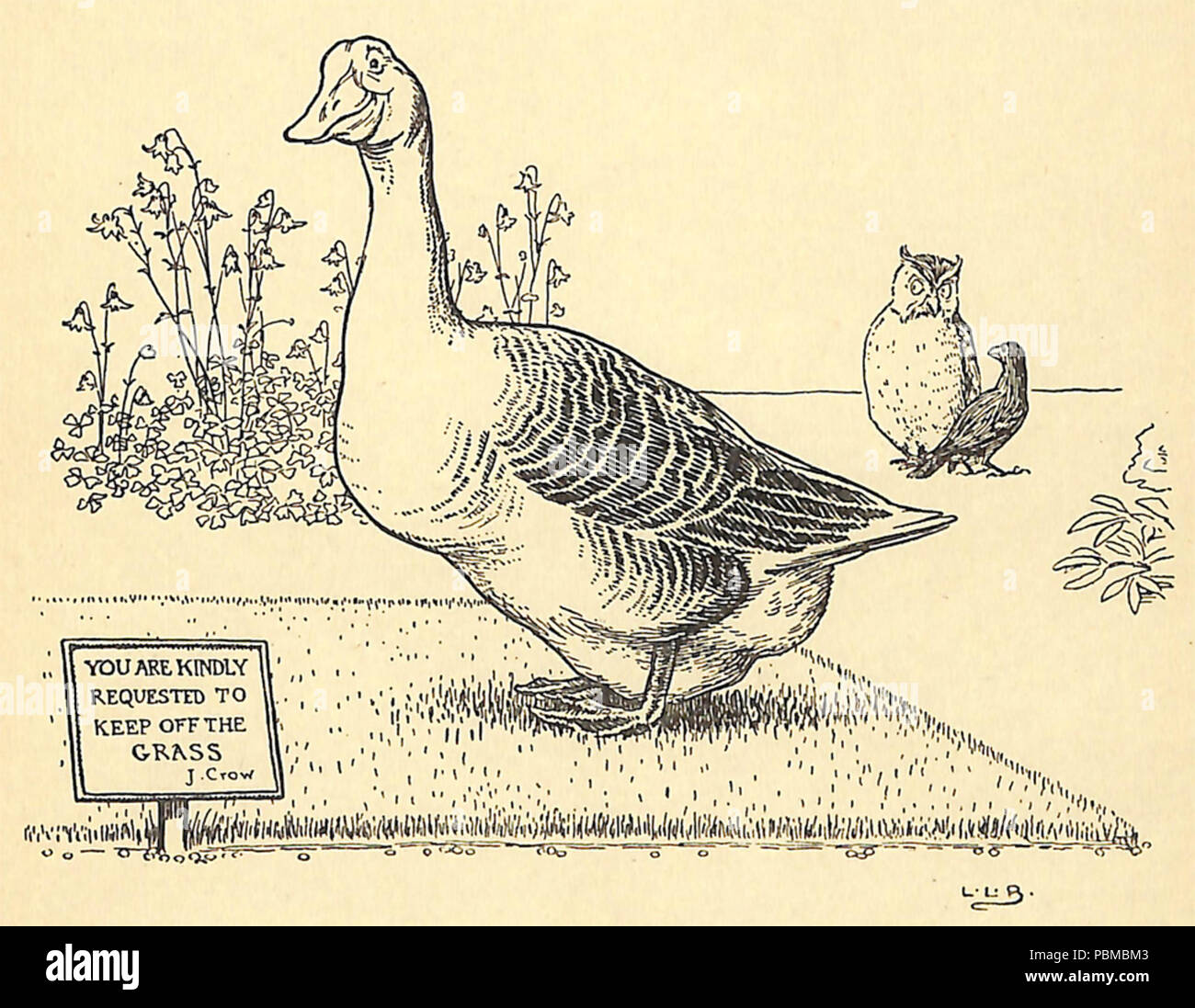 841 Johnny Crow's Garden - And the Goose--Well Stock Photo - Alamy