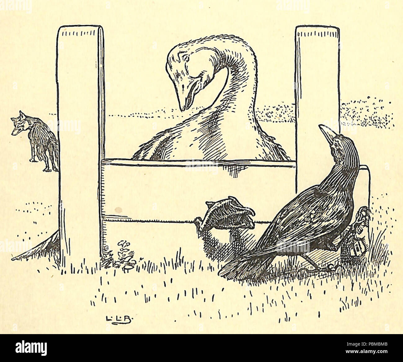 Johnny crow hi-res stock photography and images - Alamy