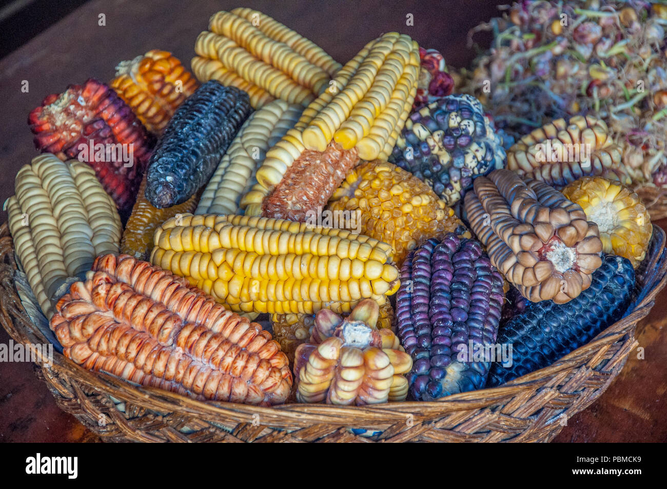 Types of corn hi-res stock photography and images - Alamy