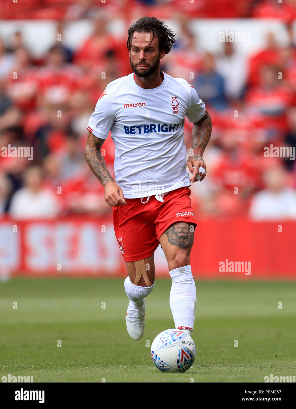 Danny fox forest hi-res stock photography and images - Alamy