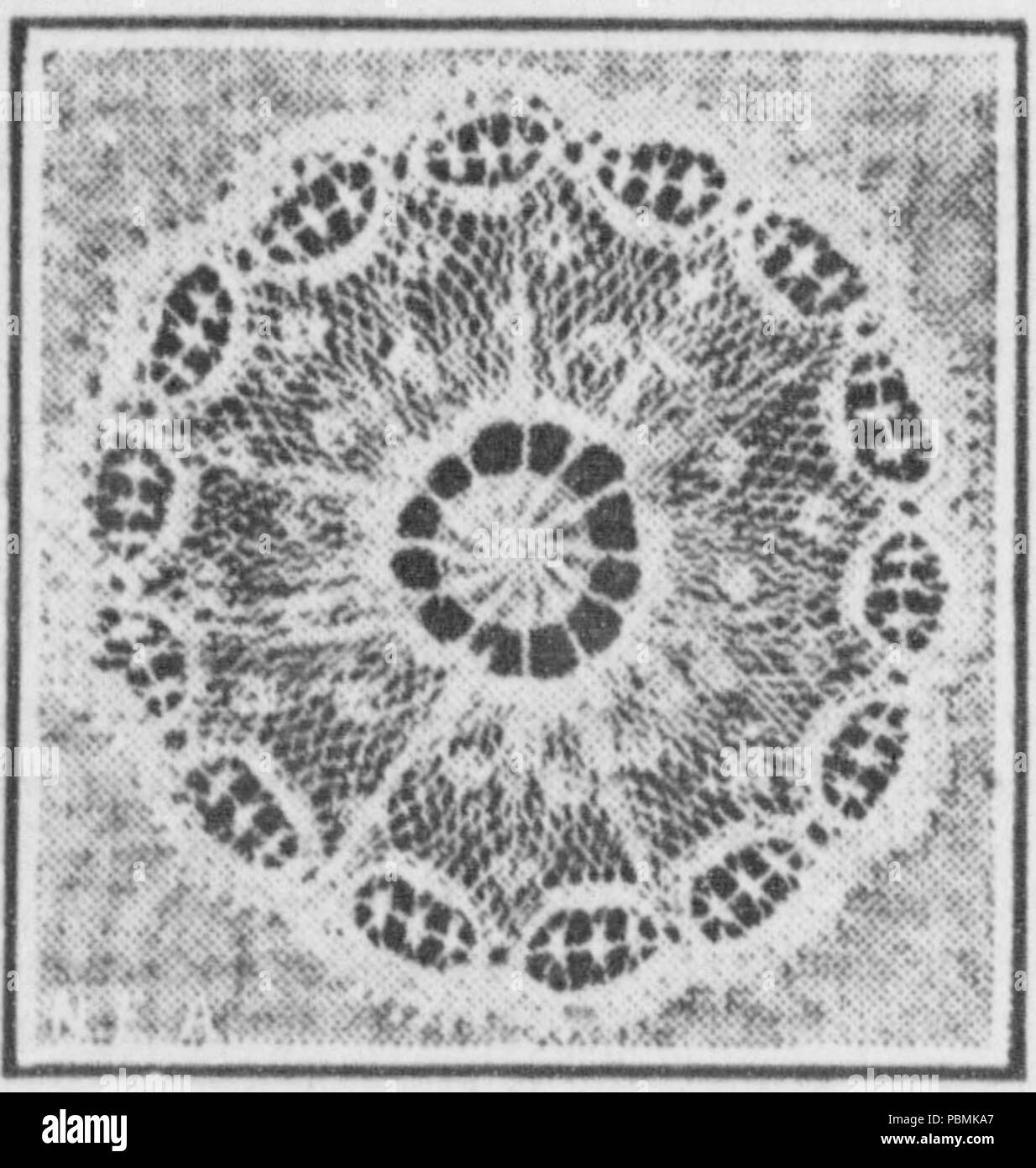 Textile medallion hi-res stock photography and images - Alamy