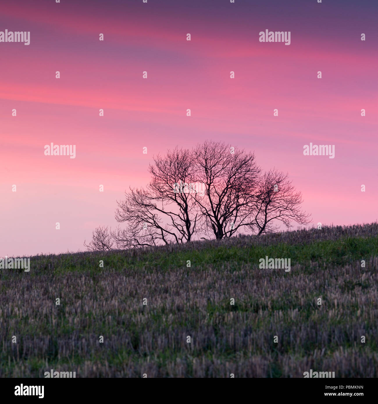 Garrowby High Resolution Stock Photography and Images - Alamy