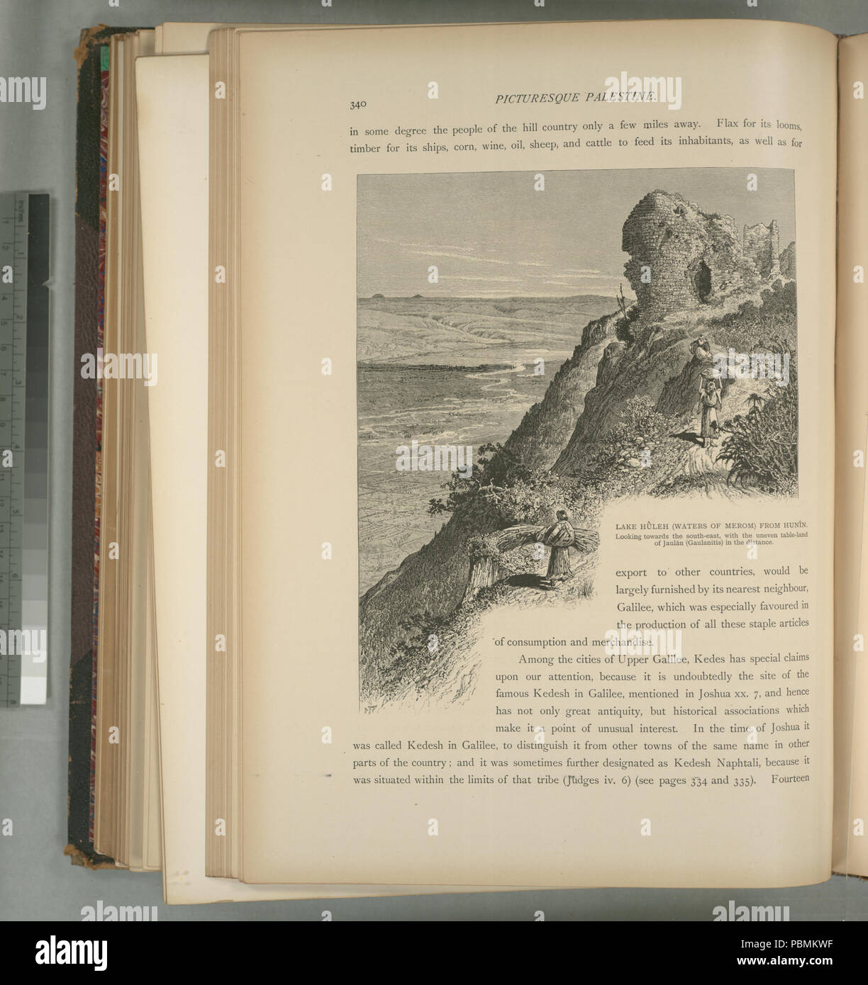 Gaulanitis hi-res stock photography and images - Alamy