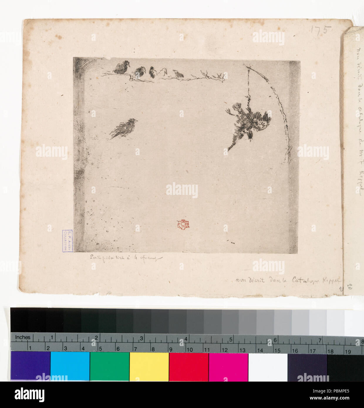 Corbeaux hi-res stock photography and images - Alamy