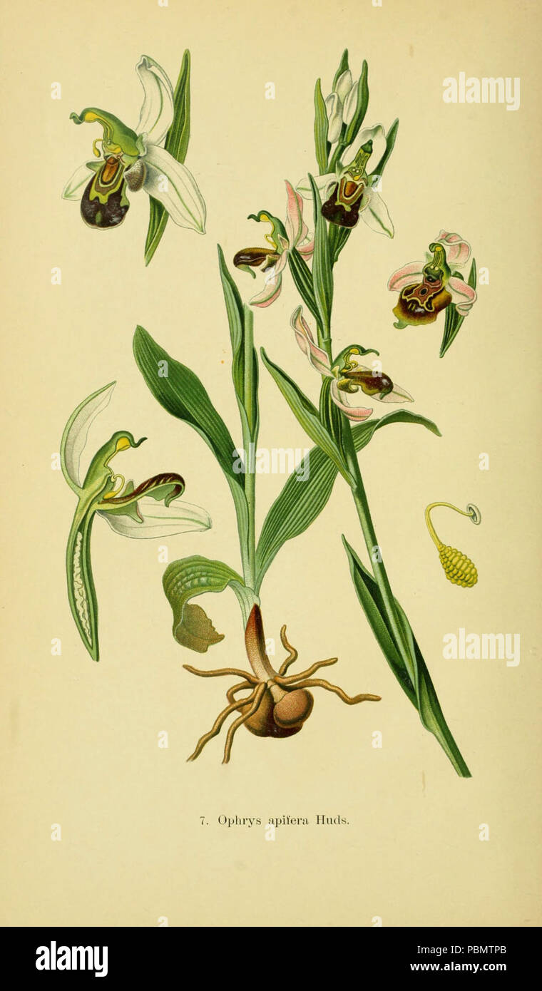 Gebieten hi-res stock photography and images - Alamy