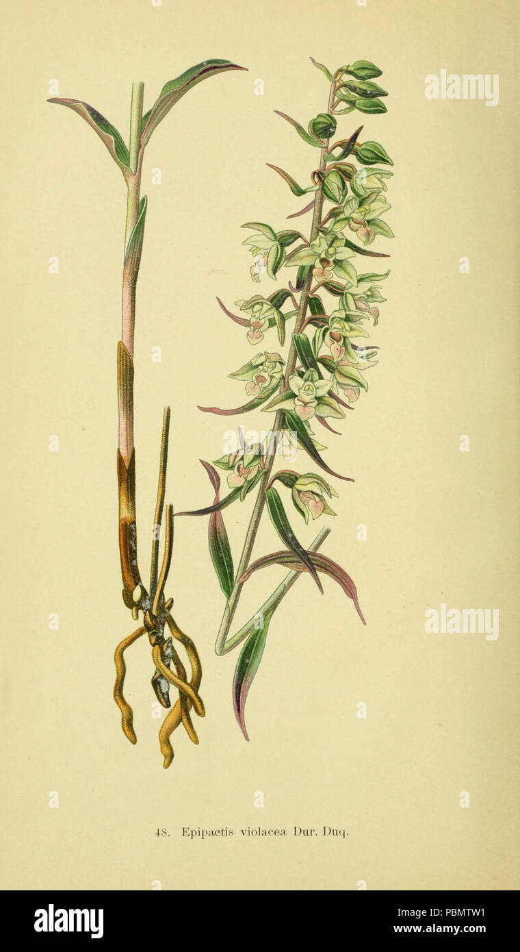 Abbildungen der in Deutschland und den angrenzenden gebieten ...