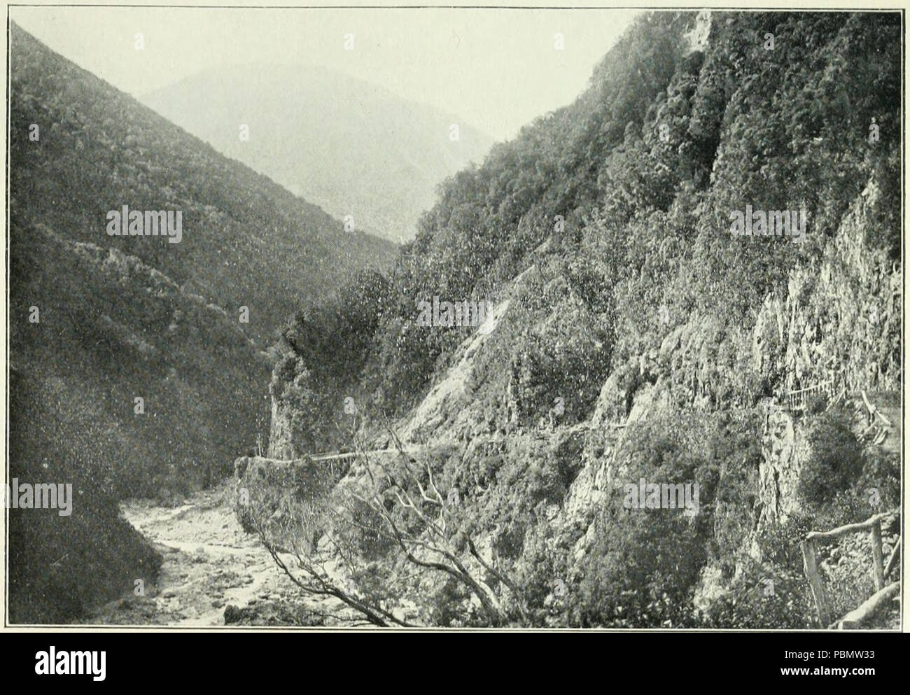 P157 hi-res stock photography and images - Alamy