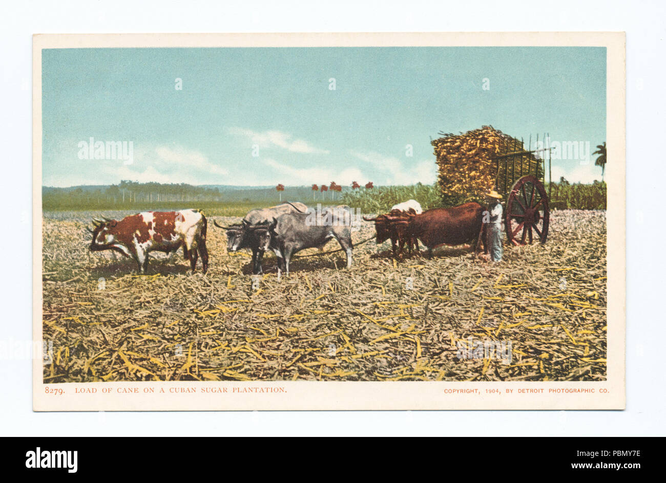 Cuba sugar plantations hi-res stock photography and images - Alamy