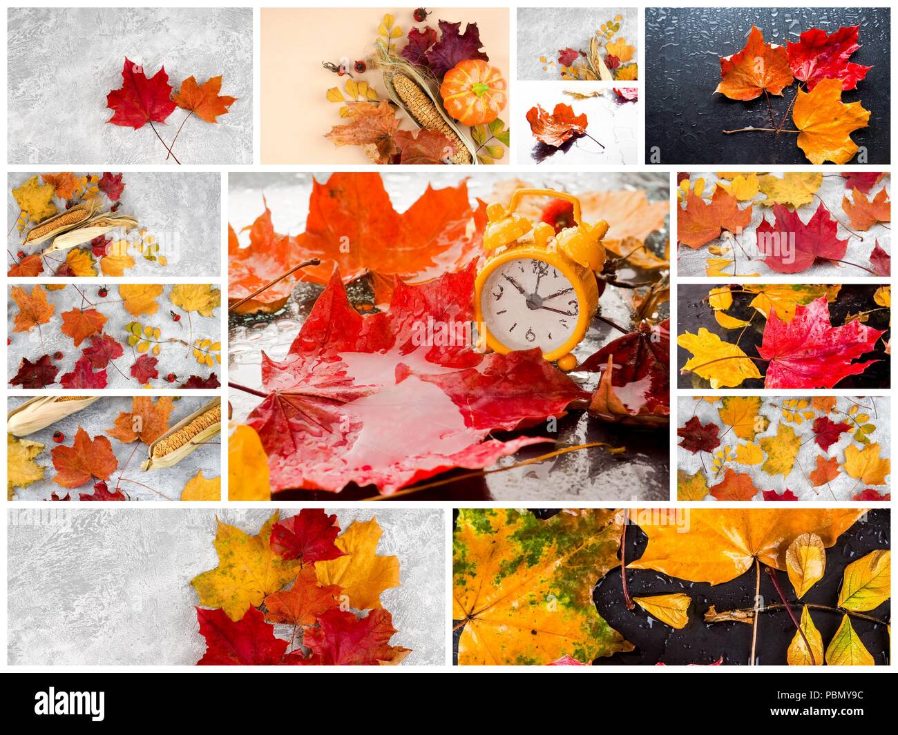 Autumn collage showing different autumn pictures, Colorful background ...