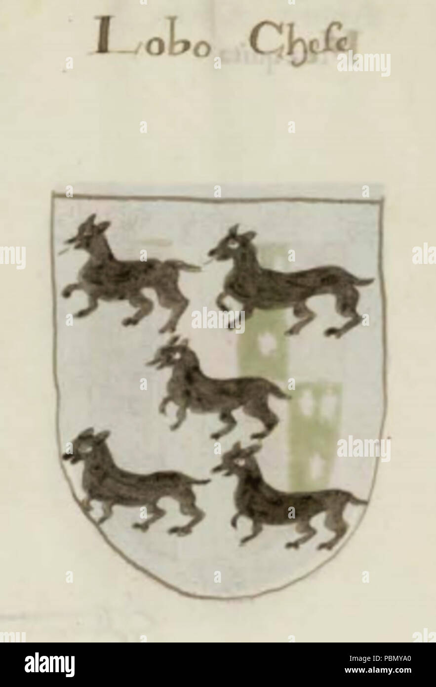 930 Lobo escudo Stock Photo - Alamy