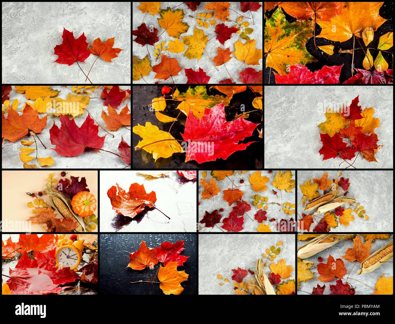 Autumn collage showing different autumn pictures, Colorful background ...