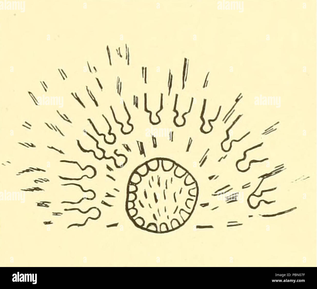 933 Lone Dog's Sioux winter count, 1870. Thirty Crows killed in battle ...