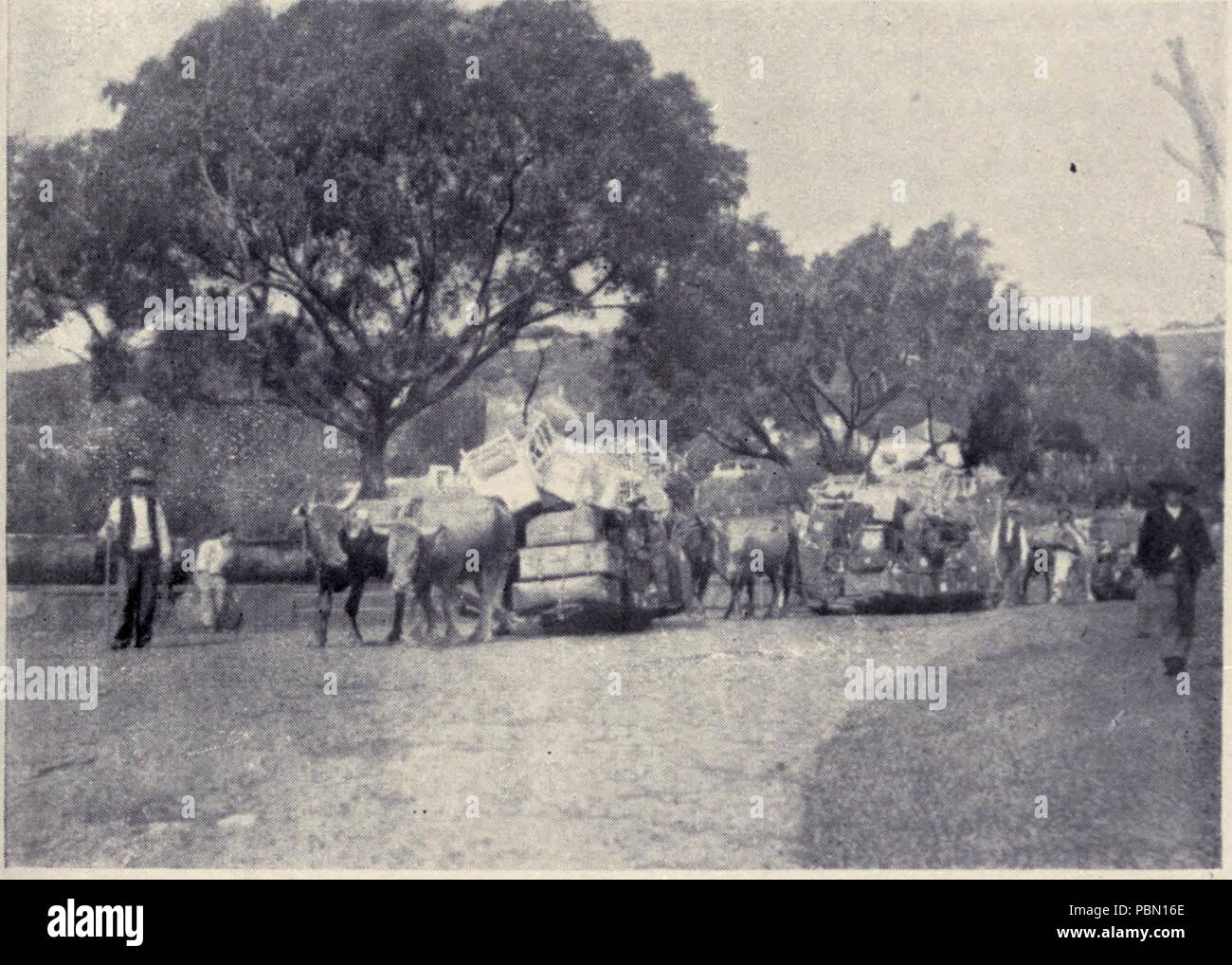 The mail steamer hi-res stock photography and images - Alamy