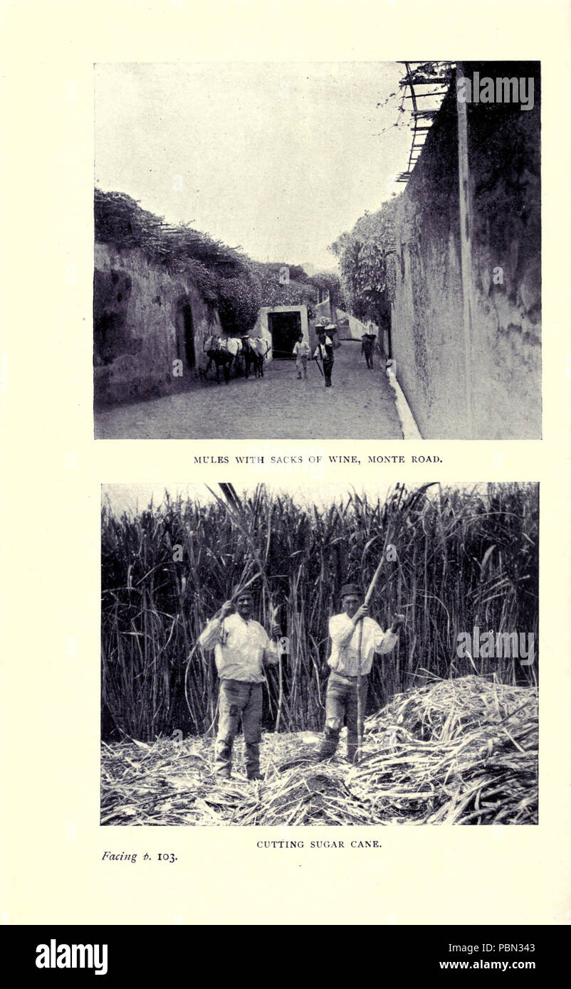 Geographic changes hi-res stock photography and images - Alamy