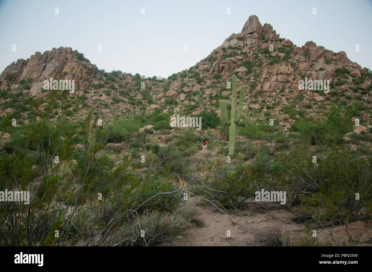 Pinnacle peak trail scottsdale hi-res stock photography and images - Alamy