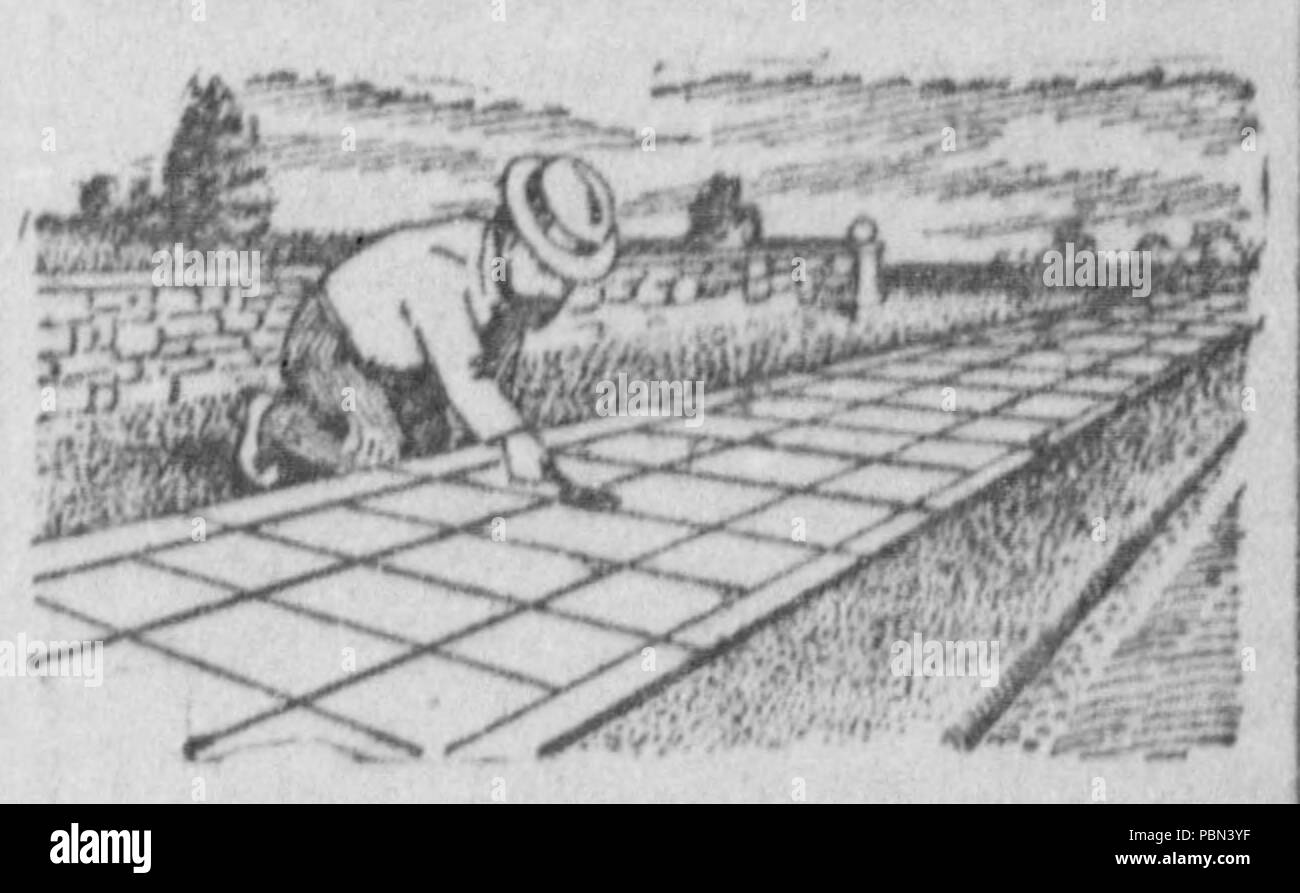 990 Man laying cement walk Stock Photo - Alamy