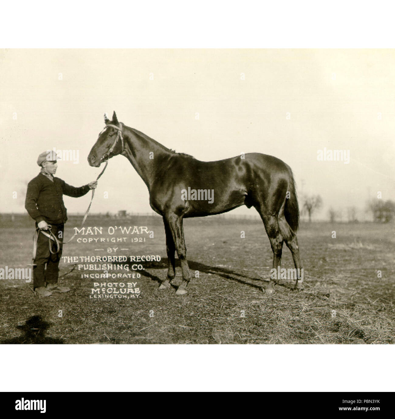 Man o war hi-res stock photography and images - Alamy