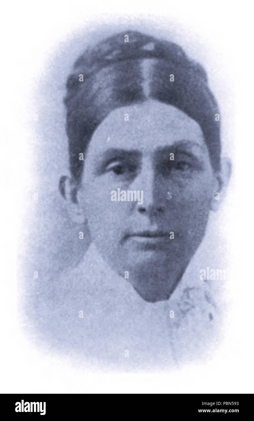 Lowe Cut Out Stock Images & Pictures - Alamy