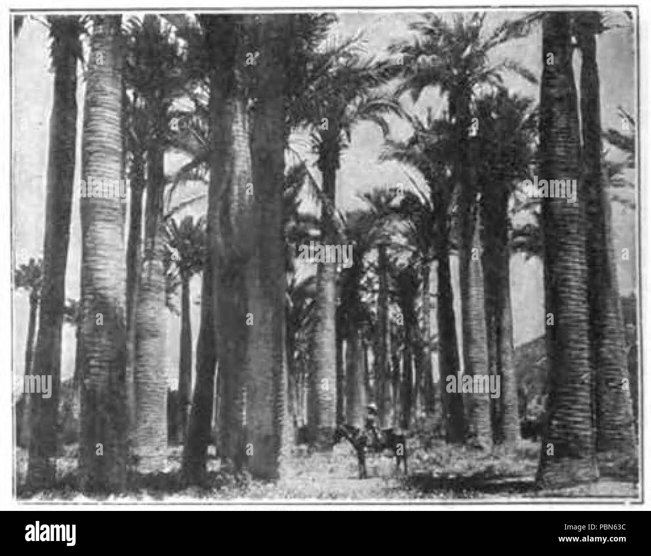 Geography and maps Black and White Stock Photos & Images - Alamy