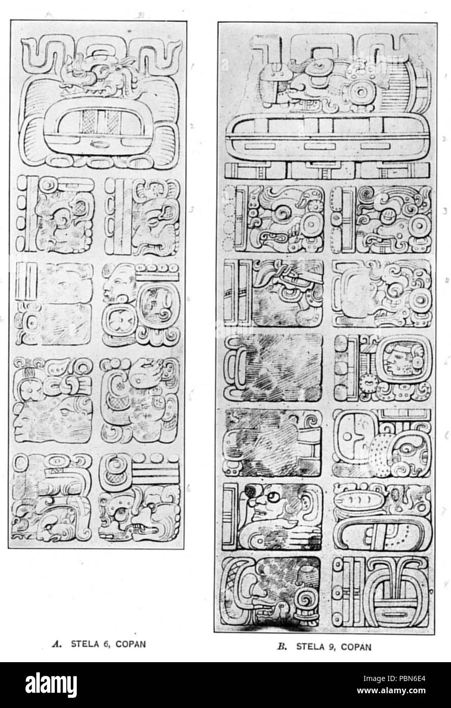 Plate 08 hi-res stock photography and images - Alamy