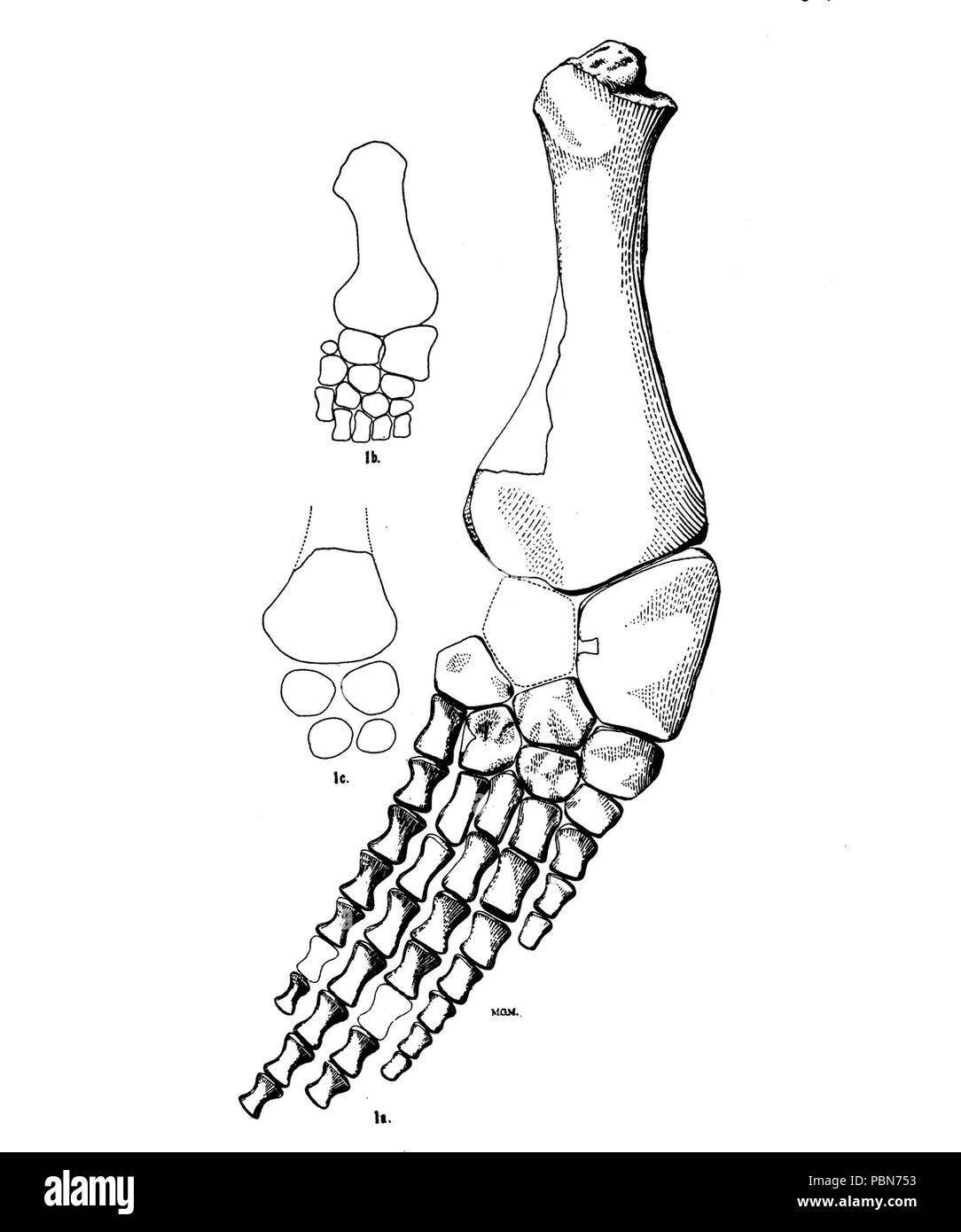 Mehl Cut Out Stock Images & Pictures - Alamy