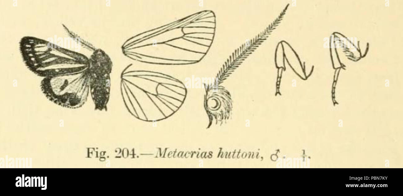 Hampson hi-res stock photography and images - Alamy