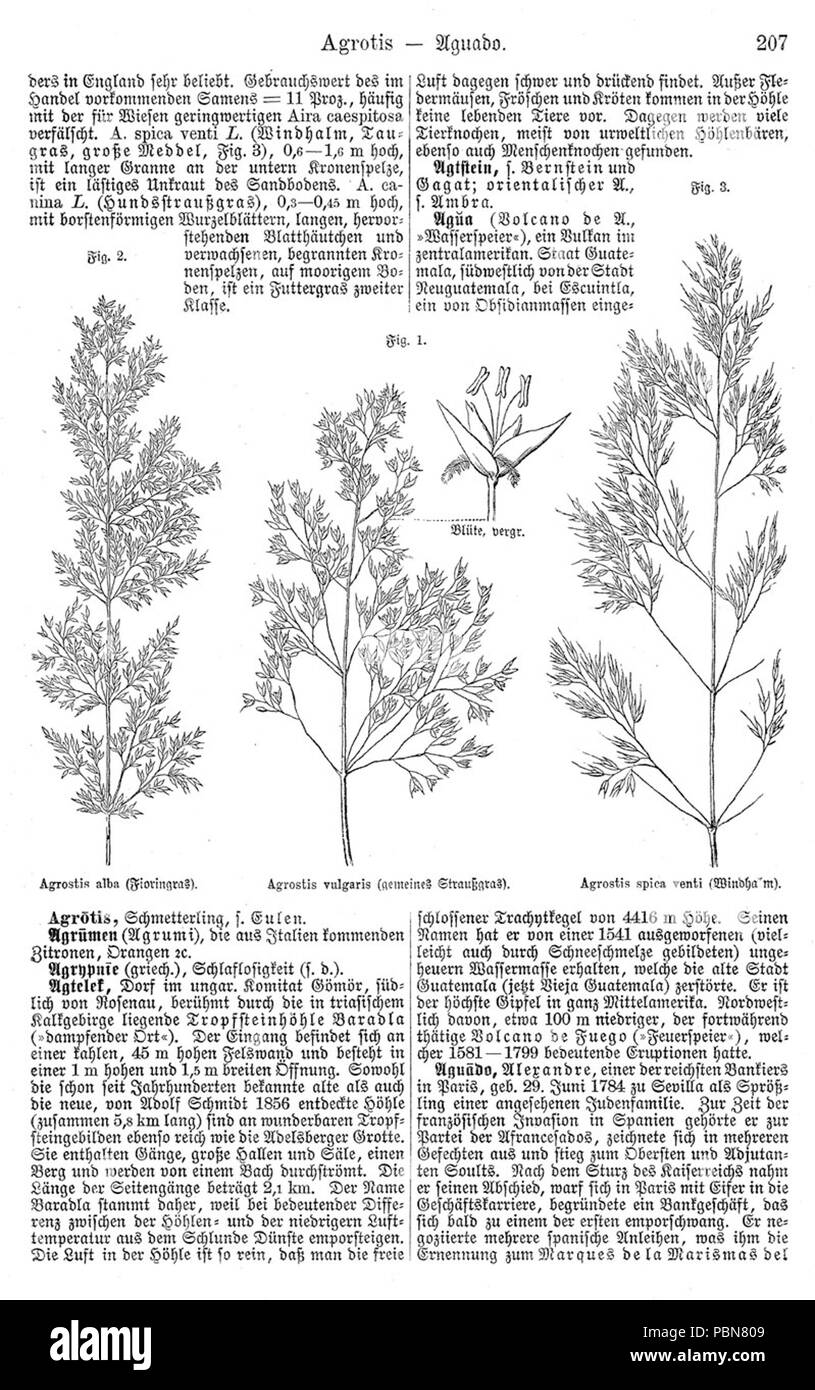 1021 Meyers b1 s0207 Stock Photo - Alamy