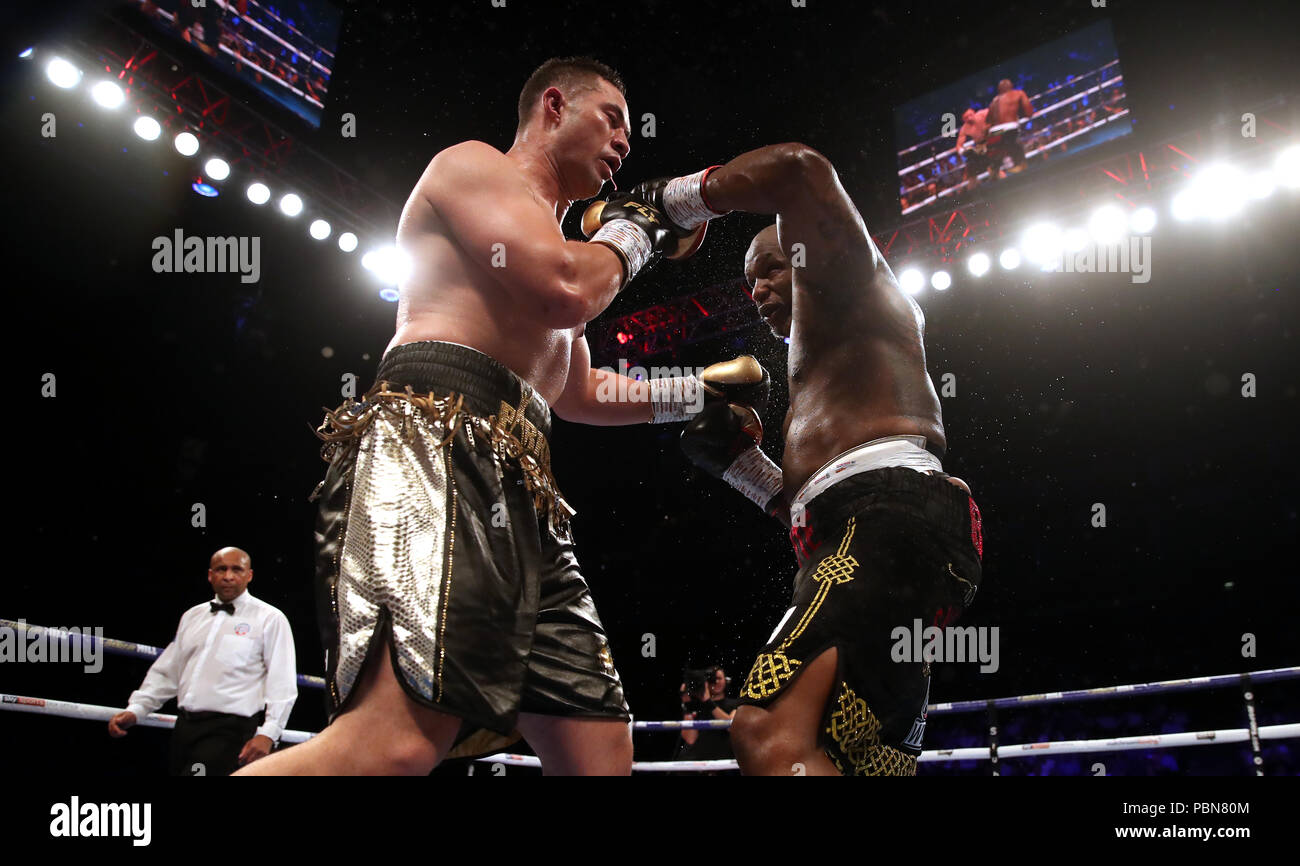 Dillian Whyte (right) in action against Joseph Parker during their WBC ...