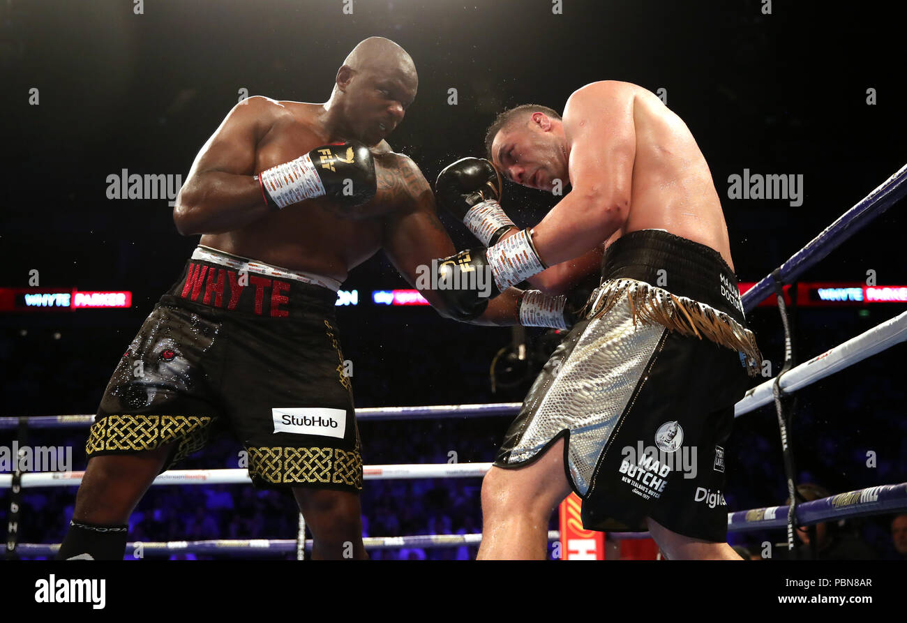 Dillian Whyte (left) in action against Joseph Parker during their WBC ...