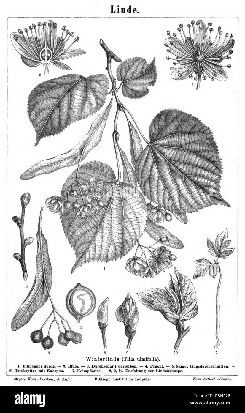 B10 Black and White Stock Photos & Images - Alamy