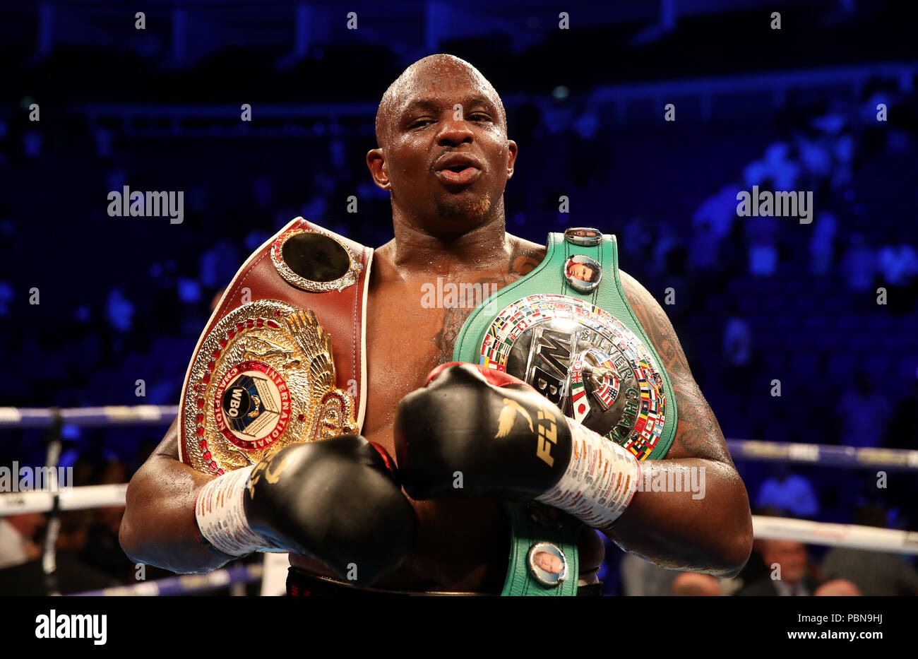 Dillian Whyte celebrates beating Joseph Park after their WBC Silver ...
