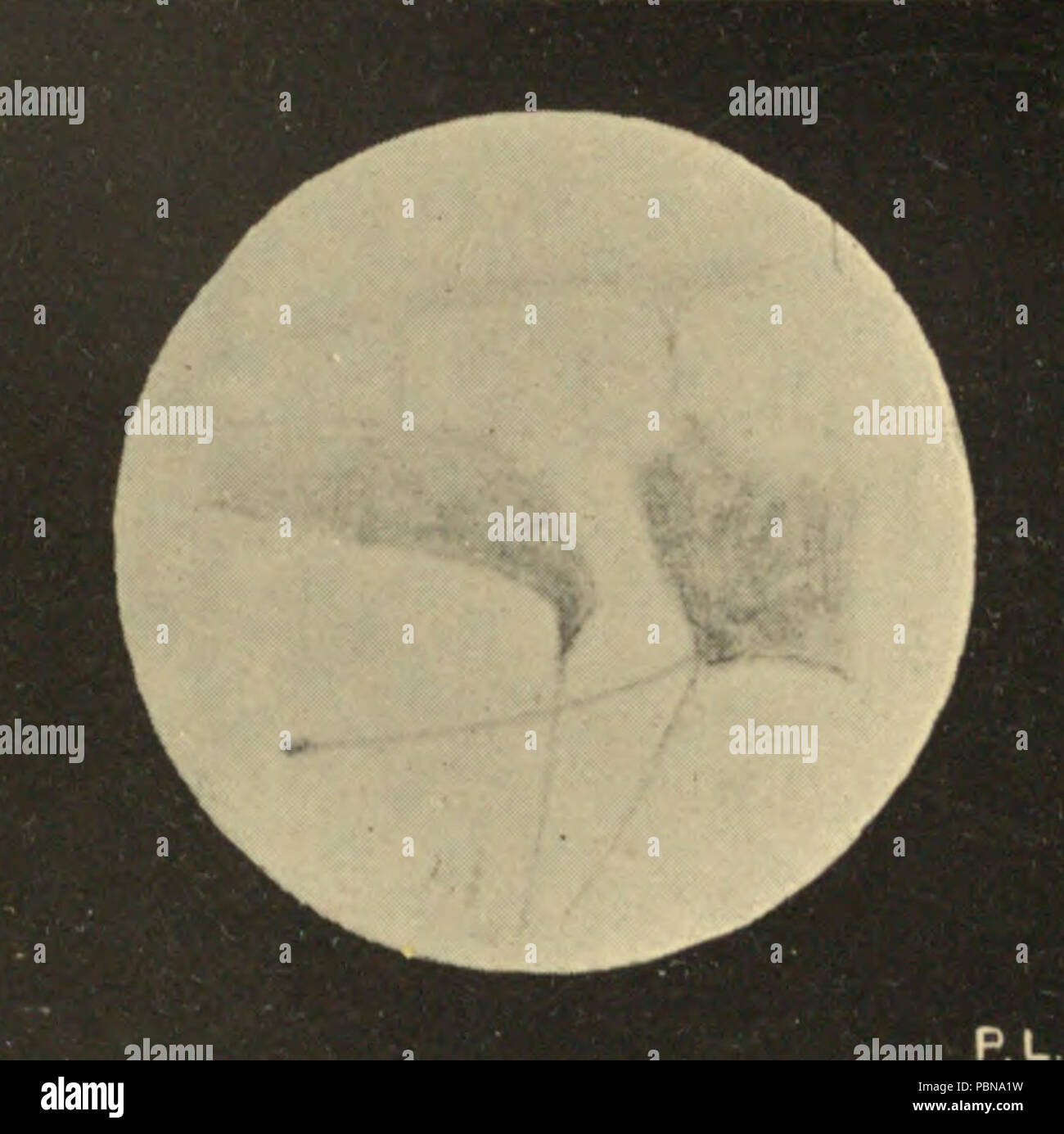 Mars figure hi-res stock photography and images - Alamy