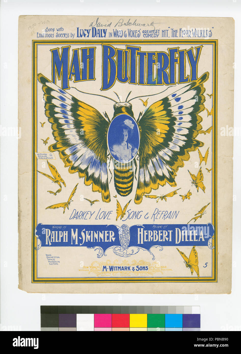 Mah butterfly hi-res stock photography and images - Alamy