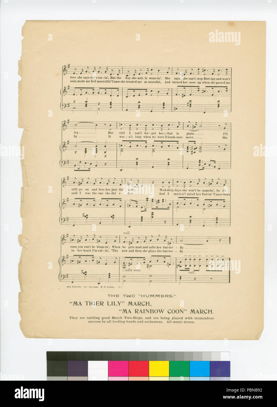 Mah butterfly hi-res stock photography and images - Alamy