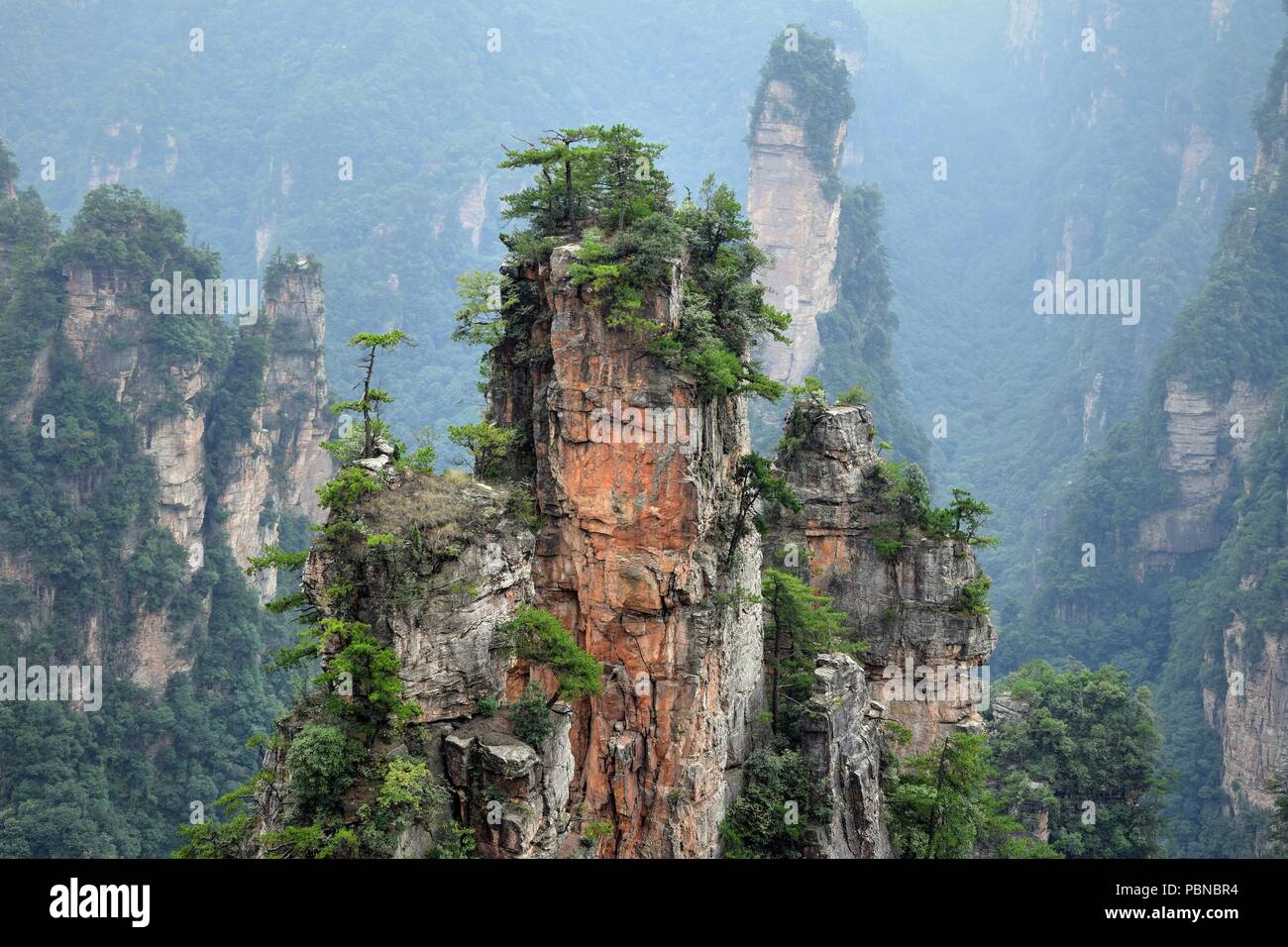 Zhangjiajie the „Avatar“ mountain in Hunan province in China hidden in ...