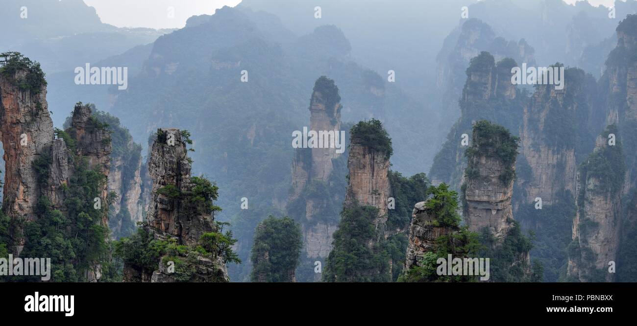 Zhangjiajie the „Avatar“ mountain in Hunan province in China hidden in ...
