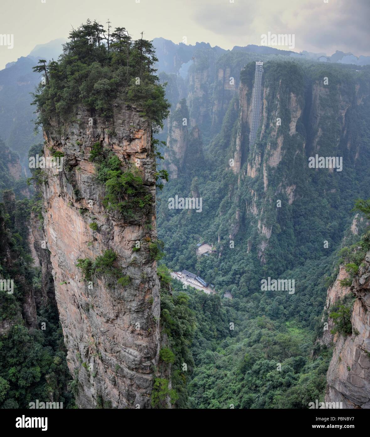 Zhangjiajie the „Avatar“ mountain in Hunan province in China hidden in ...
