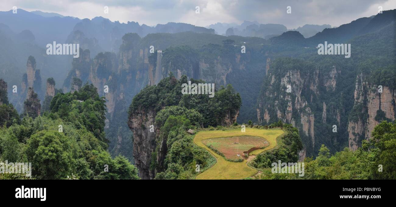 Hunan rice field hi-res stock photography and images - Alamy