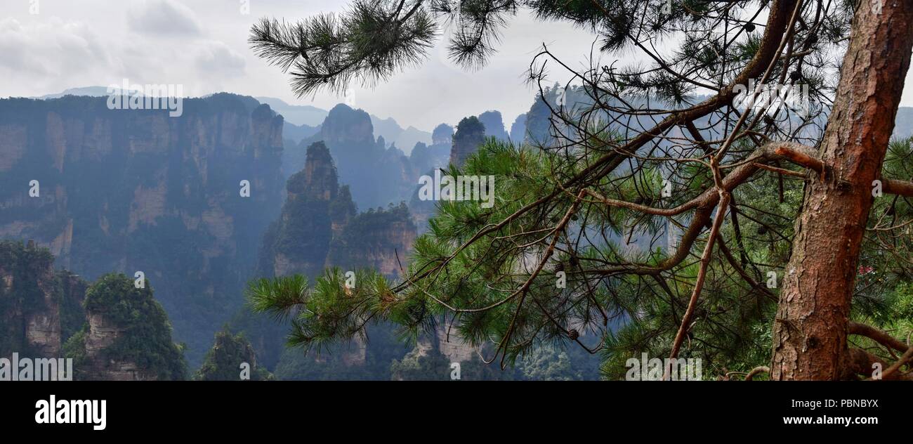 Zhangjiajie the „Avatar“ mountain in Hunan province in China hidden in ...