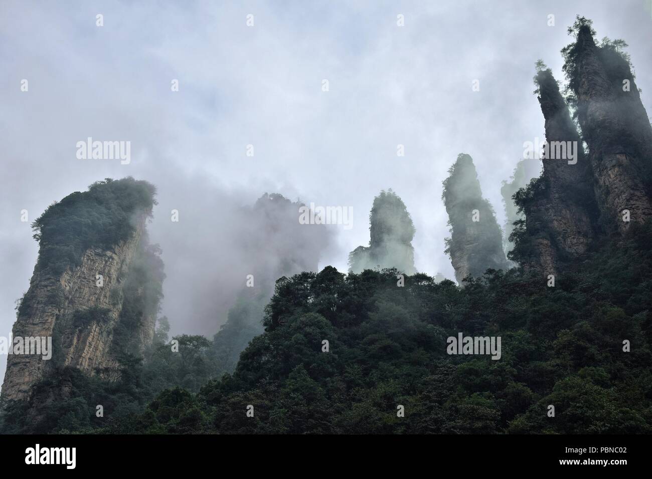 Zhangjiajie the „Avatar“ mountain in Hunan province in China hidden in ...