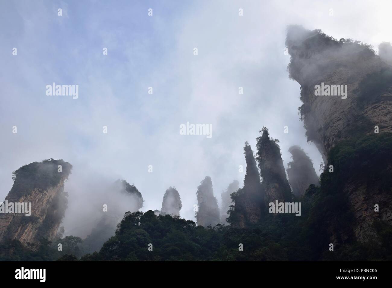 Zhangjiajie the „Avatar“ mountain in Hunan province in China hidden in ...