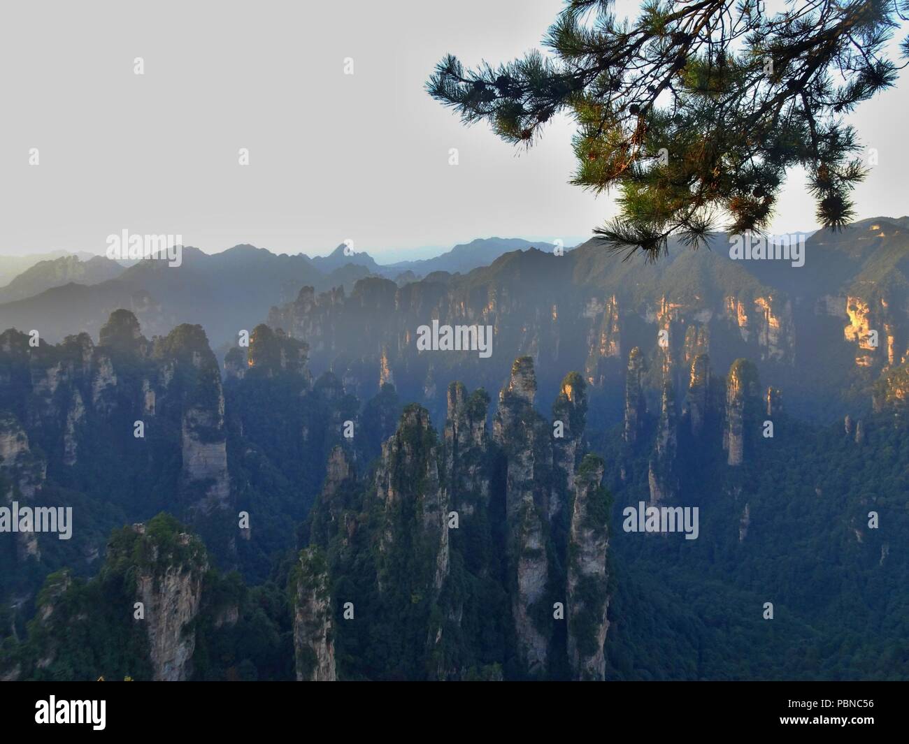 Zhangjiajie the „Avatar“ mountain in Hunan province in China hidden in ...